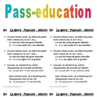 Masculin - Féminin - Le genre – Ce1 - Leçon - Cycle 2 - PDF à imprimer