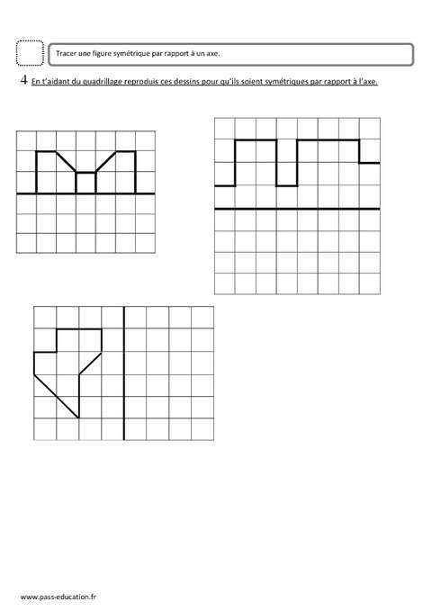 Symétrie - Ce2 - Evaluation - Pass Education