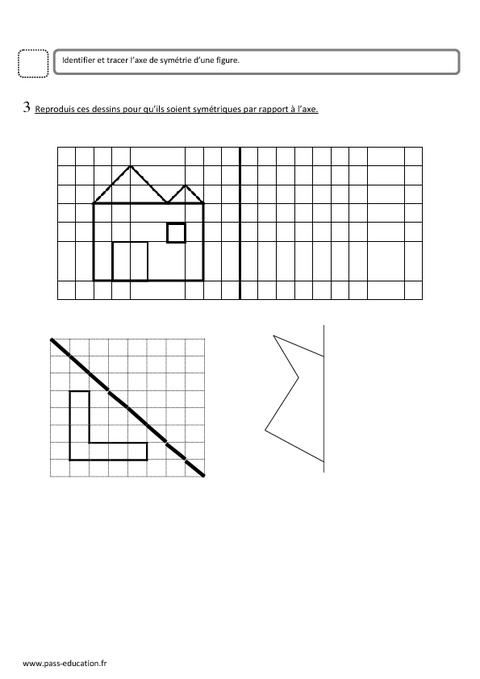 Symétrie - Cm2 - Evaluation - Pass Education