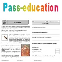 Fourmi - Ce1 - Lecture documentaire - Cycle 2 - PDF à imprimer