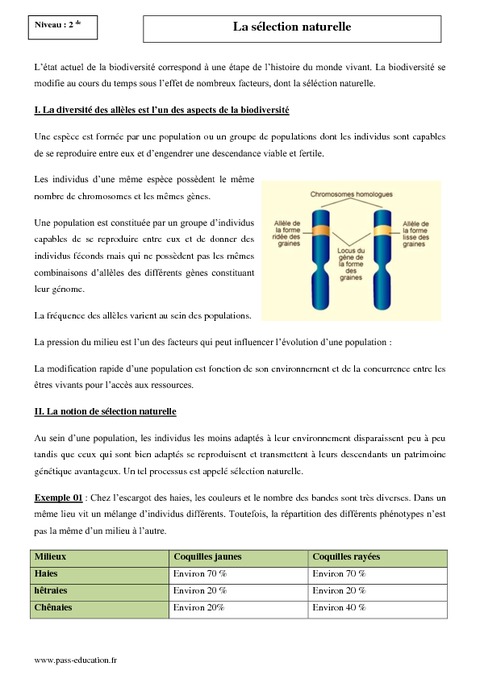 TOP30+ Svt Seconde Exercices Aperçu - Bts cpi