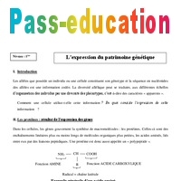 Expression du patrimoine génétique - Première - Cours - PDF à imprimer