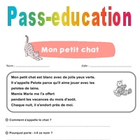 Mon petit chat - Cp - Lecture compréhension - Récit - Cycle 2 - PDF à ...