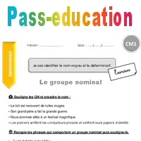 Comment identifier le nom noyau et le déterminant - CM1 - Exercices ...