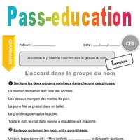 Accord dans le groupe du nom - CE1 - Exercices - Cycle 2 - PDF à imprimer