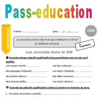 Accords dans le GN - Groupe nominal - CM2 - Exercices - Cycle 3 - PDF à ...