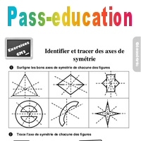 Identifier et tracer des axes de symétrie au Cm2 - Exercices, révisions ...
