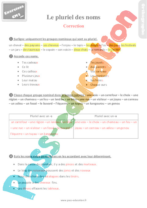 Exercices, révisions sur le pluriel des noms au Cm2 avec les ...