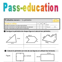 Mesurer le périmètre au Cm2 - Évaluation, bilan - Cycle 3 - PDF à imprimer