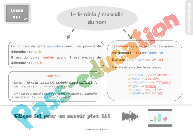 Leçon, trace écrite sur le féminin, masculin des noms au Ce1 - Pass ...
