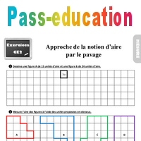 Approche des unités d’aire par le pavage au Ce2 - Exercices, révisions ...