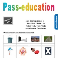 Les homophones lexicaux: foie/fois/Foix/foi - sot/seau/sceau/saut ...