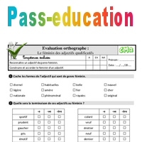 Le féminin des adjectifs qualificatifs au Cm2 - Evaluation: QCM - Quiz ...
