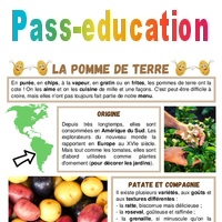 La pomme de terre - Ce1 - Ce2 - Lecture documentaire - Cycle 2 - PDF à ...