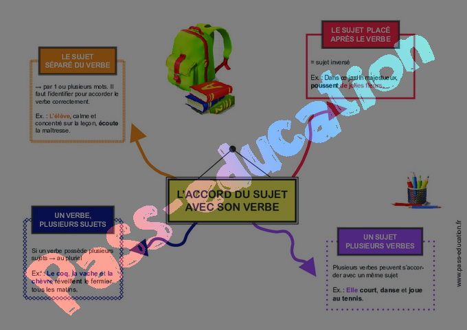 Accord sujet / verbe - Cm1 - Cm2 - Carte mentale à co-construire
