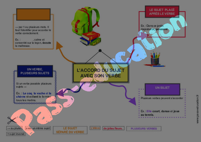 Accord sujet / verbe - Cm1 - Cm2 - Carte mentale à co-construire