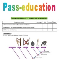 La parenté des êtres vivants - 3ème - Evaluation avec les corrigés ...