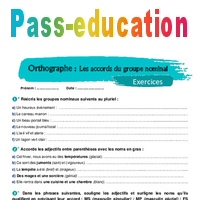 Les accords du groupe nominal - 5ème - Exercices avec les corrigés ...