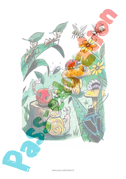 Les insectes – Ce2 – Atelier « Œil de lynx » - PDF à imprimer