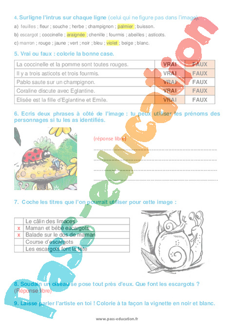 Les insectes – Ce2 – Atelier « Œil de lynx » - PDF à imprimer