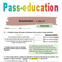 L’adjectif – 4ème – Exercices avec les corrigés - Cycle 4 - PDF à imprimer