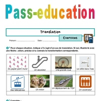 Translation – 3ème – Exercices avec les corrigés - Cycle 4 - PDF à imprimer