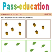 Animaux de la forêt – Nombres – Moyenne Section – Maternelle - Cycle 1 ...