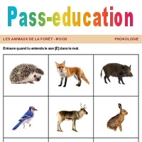 Animaux de la forêt – Phonologie - MS - GS - Grande section ...