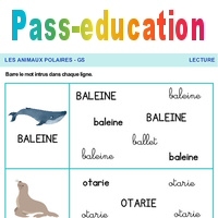 Animaux polaires - Lecture - GS - Maternelle - Cycle 1 - PDF à imprimer