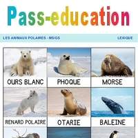 Animaux polaires – Lexique - MS - GS – Maternelle - Cycle 1 - PDF à ...