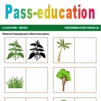 La nature – Discrimination visuelle - MS - GS – Maternelle - Cycle 1 ...