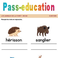 Les animaux de la forêt - Ecriture - MS - GS - Maternelle - Cycle 1 ...