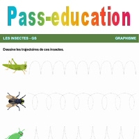 Les trajectoires de ces insectes - Graphisme - GS - Maternelle - Cycle ...