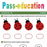 La coccinelle – Les insectes – Nombres – Grande Section – Maternelle ...