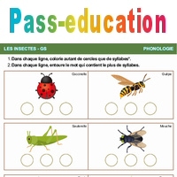 Syllabes & Insectes – Phonologie - GS - Grande section – Maternelle ...
