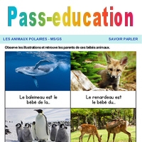 Les parents de ces bébés animaux – Savoir parler – MS – GS – Maternelle ...