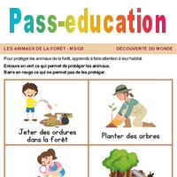 Protégez les animaux de la forêt – MS - GS - Découverte du monde ...