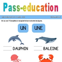 Animaux de la mer - Grammaire - MS - GS - Maternelle - Cycle 1 - PDF à ...