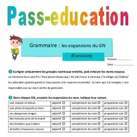 Les expansions du groupe nominal (GN) - Cm2 - Exercices avec les ...