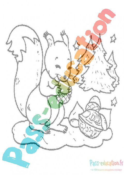 Coloriage gratuit : écureuil - PDF à imprimer
