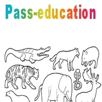Coloriage gratuit : Animaux sauvages - PDF à imprimer