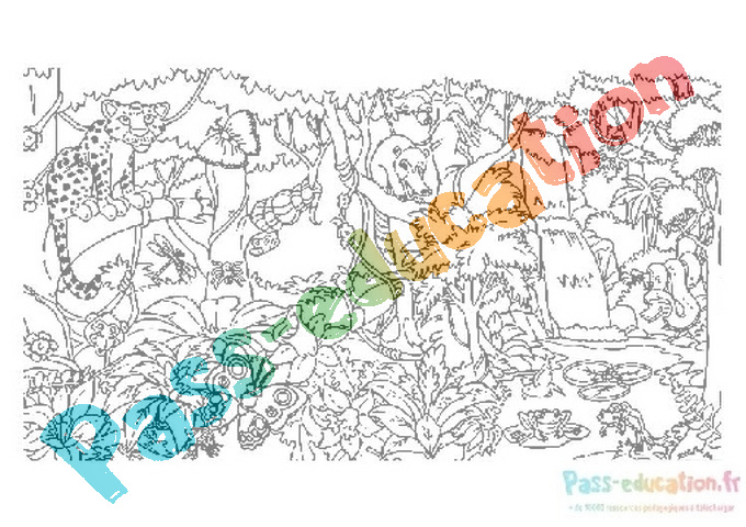 Coloriage gratuit de forêt - imprimez et téléchargez des dessins ...