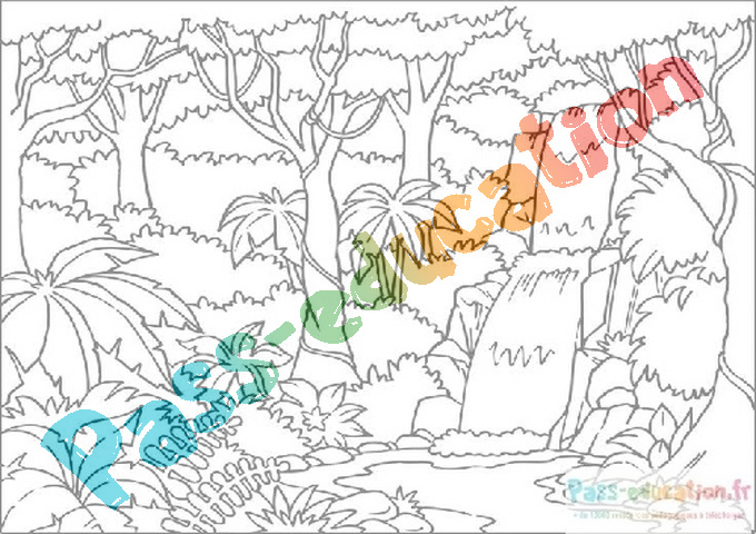 Coloriage gratuit de forêt - imprimez et téléchargez des dessins ...