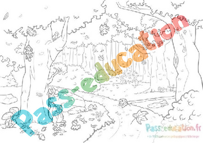 Coloriage gratuit de forêt - imprimez et téléchargez des dessins ...