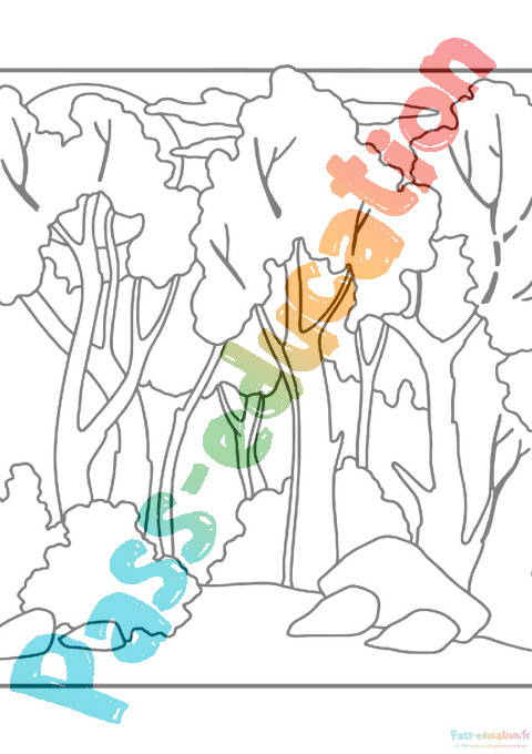 Coloriage gratuit : Forêt - PDF à imprimer