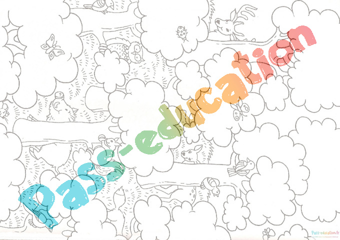 Coloriage gratuit : Forêt - PDF à imprimer