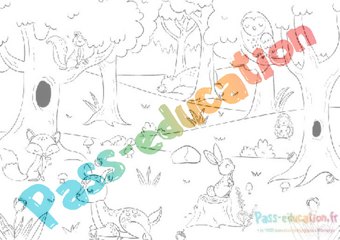 Coloriage gratuit : Forêt - PDF à imprimer