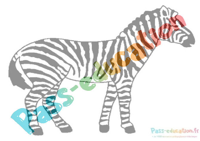 Coloriage gratuit : Zèbre - PDF à imprimer