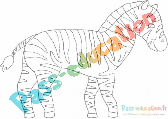 Coloriage gratuit : Zèbre - PDF à imprimer