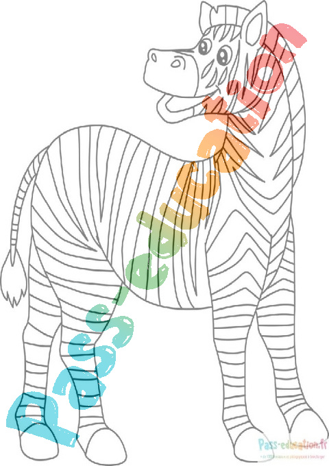 Coloriage gratuit : Zèbre - PDF à imprimer